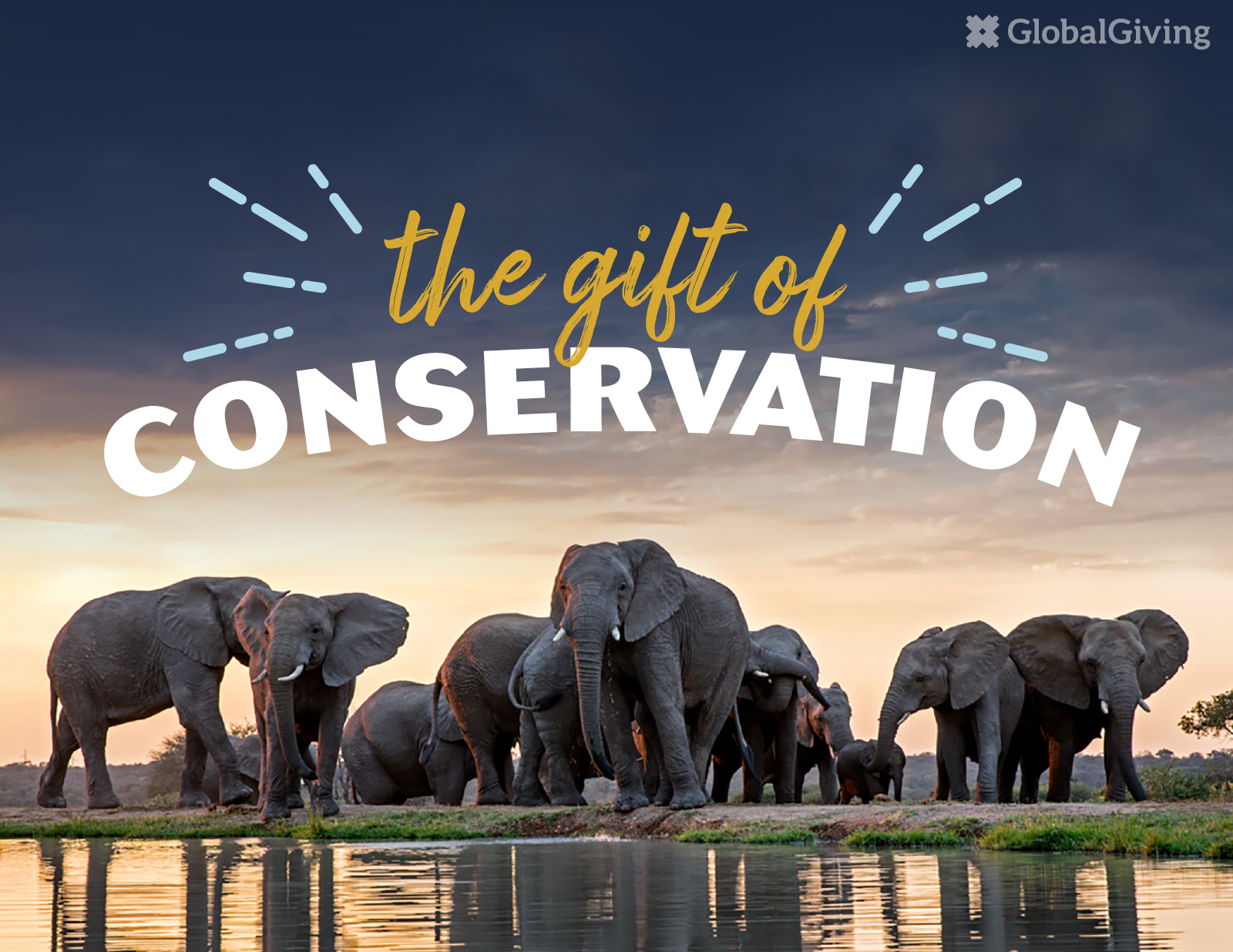 Buy A Gift Card - GlobalGiving
