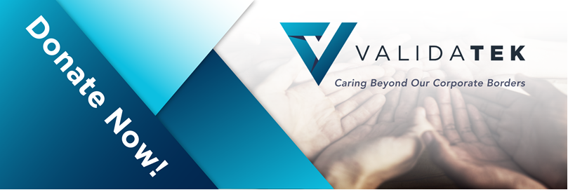 GlobalGiving - ValidaTek - Disaster Relief