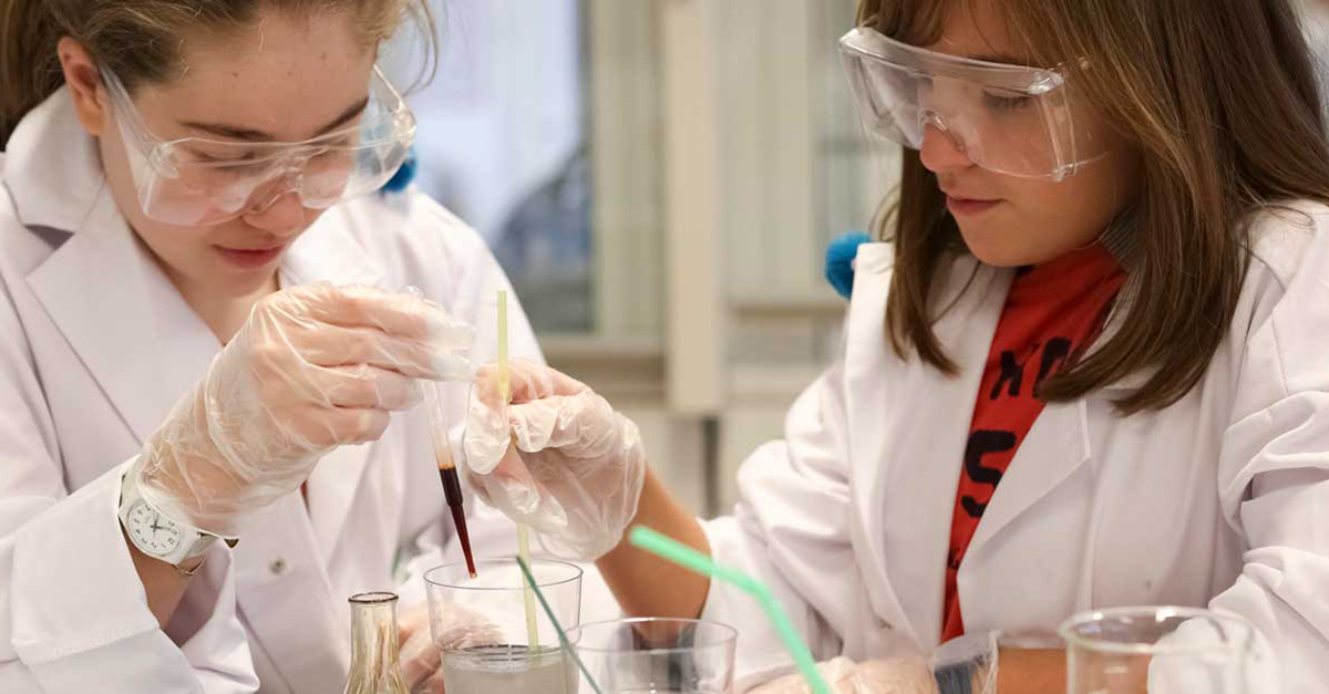 Optimize Your Nonprofit Donation Form