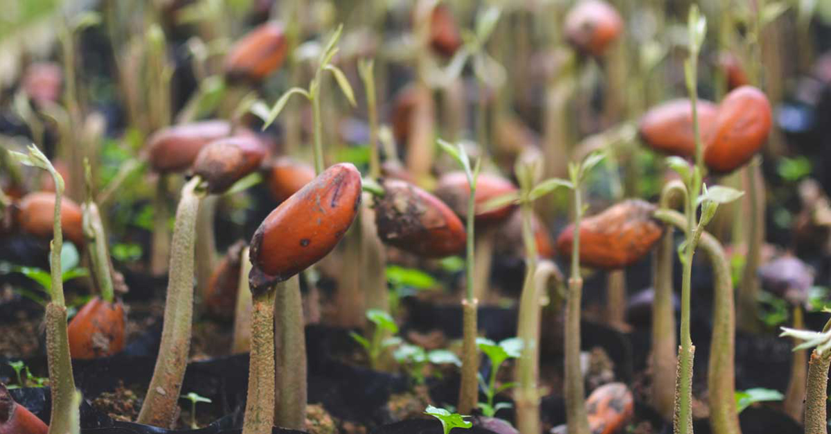 Nonprofit Effectiveness: See An Infographic That Explains The Cycle