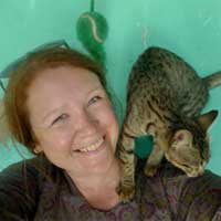 How To Explore The Power Of Video For Fundraising