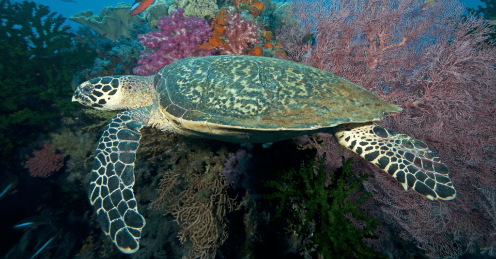 13 Do’s and Don’ts for CSR Success in 2018