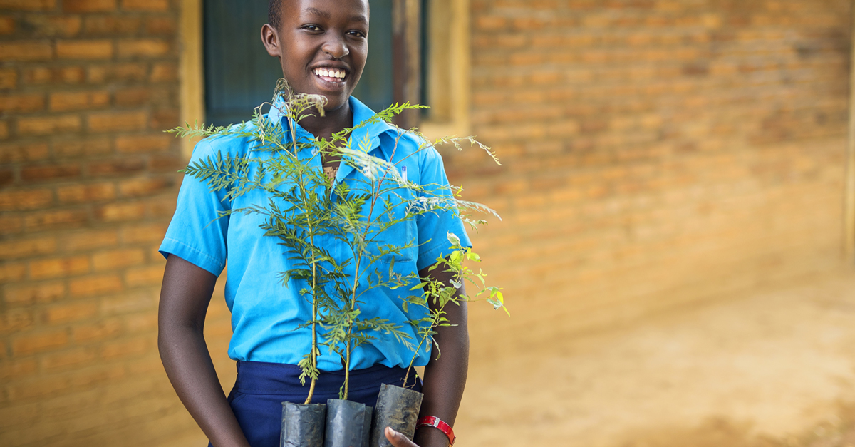 Success! Check Your Inbox For Your CSR Courses + Certifications Guide ...