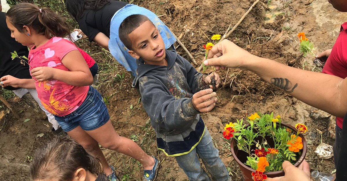 Post-Disaster Communication Strategies | GlobalGiving | Learn Library