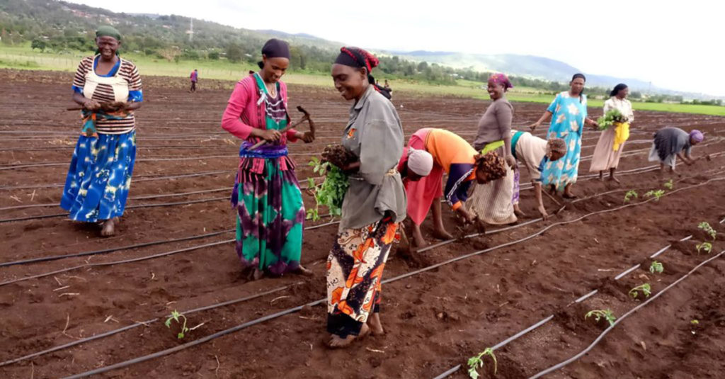 Meet 4 Nonprofits Dedicated To Defeating Drought - GlobalGiving