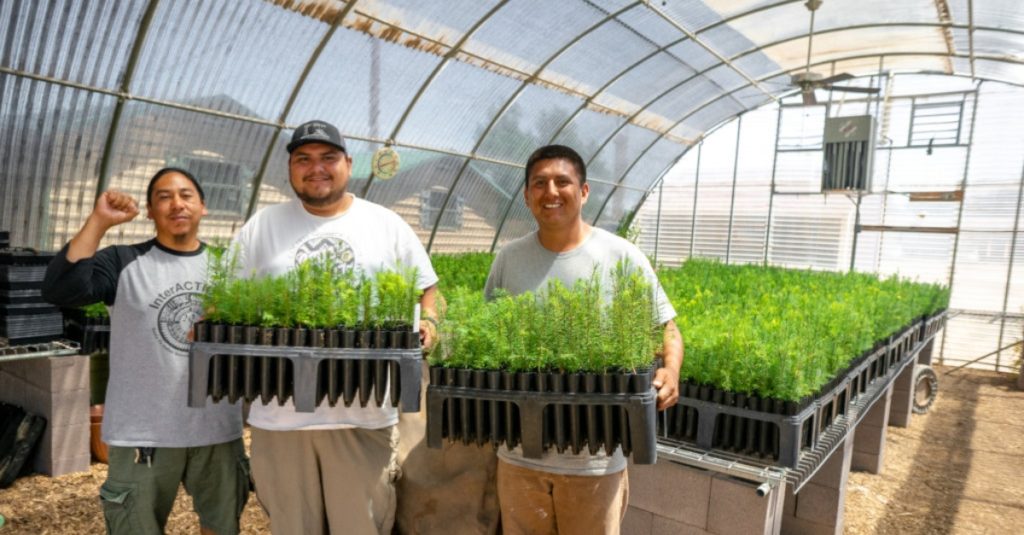 5 Indigenous-Led Projects To Support On Indigenous Peoples' Day