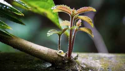 GlobalGiving: donate to charity projects around the world