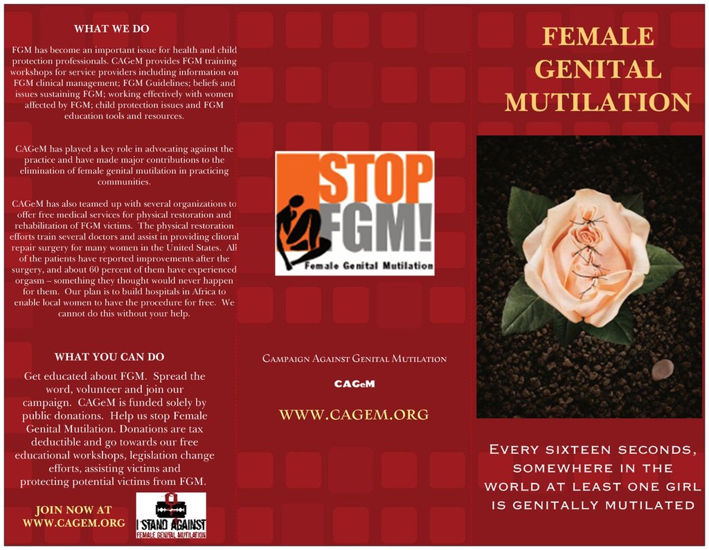 Free Female Genital Mutilation repair surgery - GlobalGiving