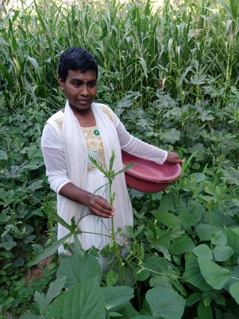 Reports on Support 50 Multiple Disabled Children in India - GlobalGiving