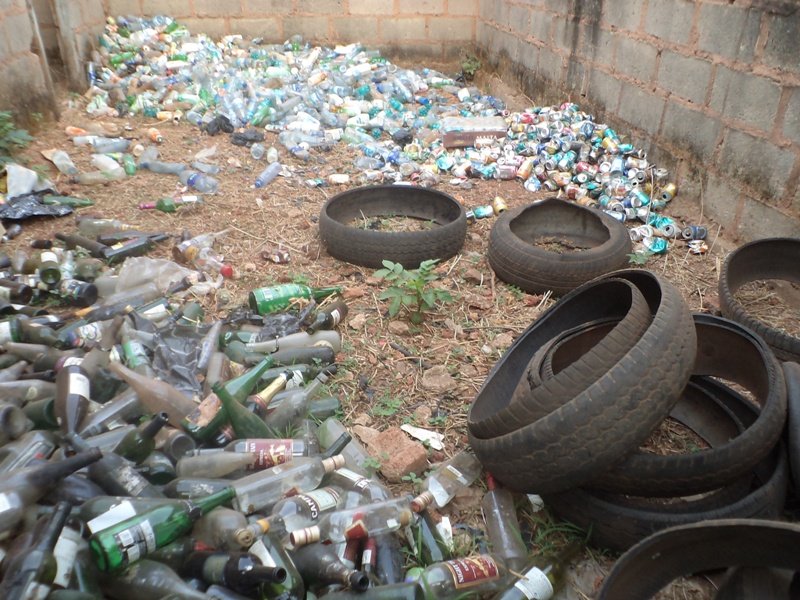 Green Life Project for empowering youth - GlobalGiving