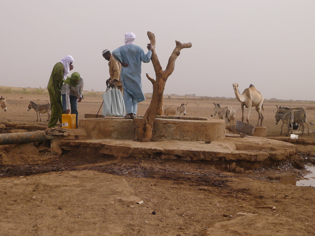 Hunger Relief and Support for Sahel Nomads - GlobalGiving