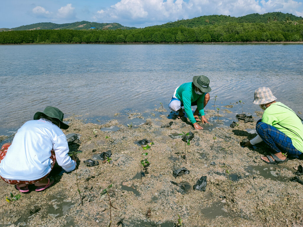 Reports on Talim Bay Coastal Resources Management Project - GlobalGiving