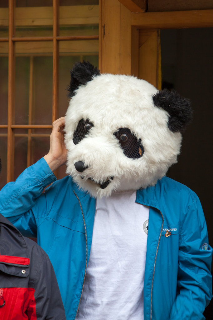 Saving Giant Pandas in China with Earthwatch - GlobalGiving