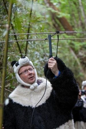 Saving Giant Pandas in China with Earthwatch - GlobalGiving