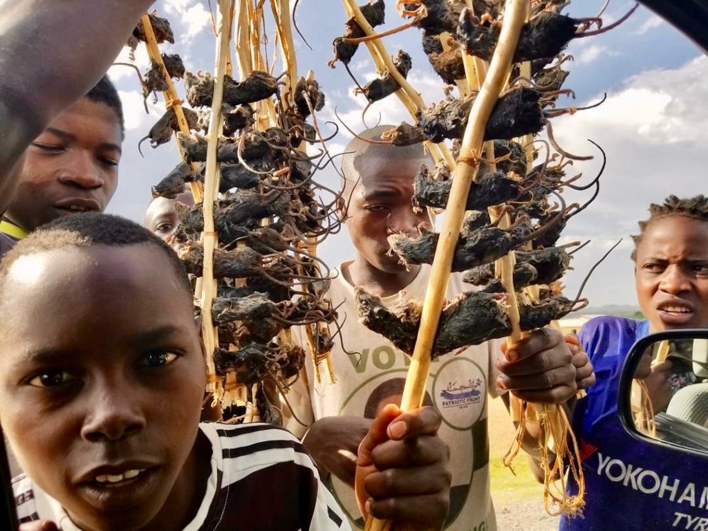 Reports on Lifesaving AidPods for 65,000 African children - GlobalGiving