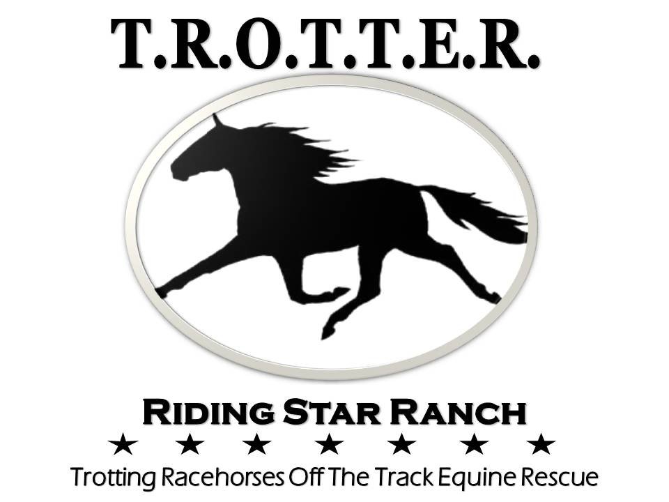 T.R.O.T.T.E.R. (Race horse Rescue & Adoption) - GlobalGiving