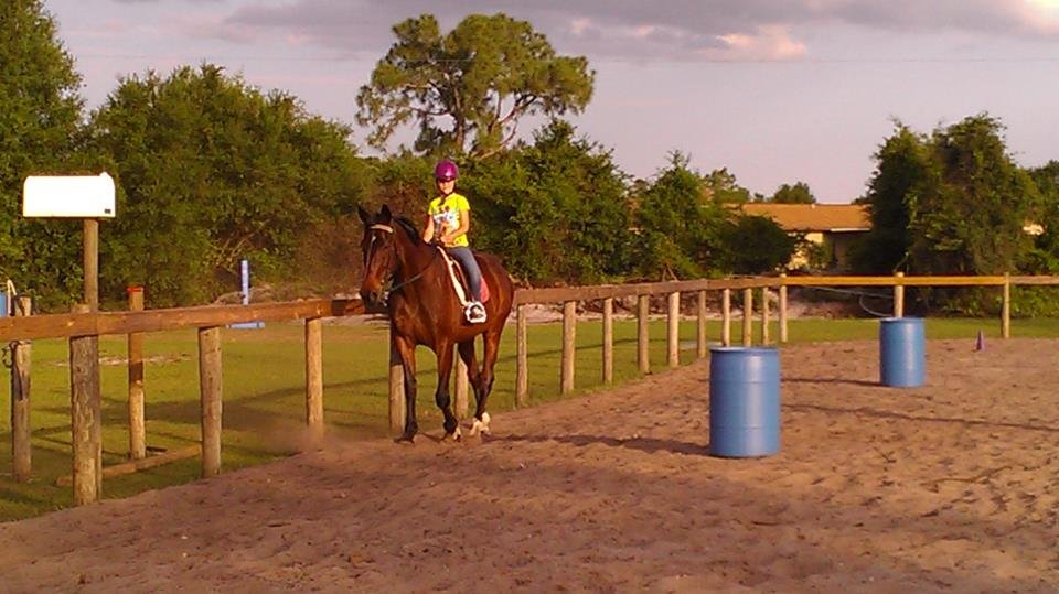 T.R.O.T.T.E.R. (Race horse Rescue & Adoption) - GlobalGiving