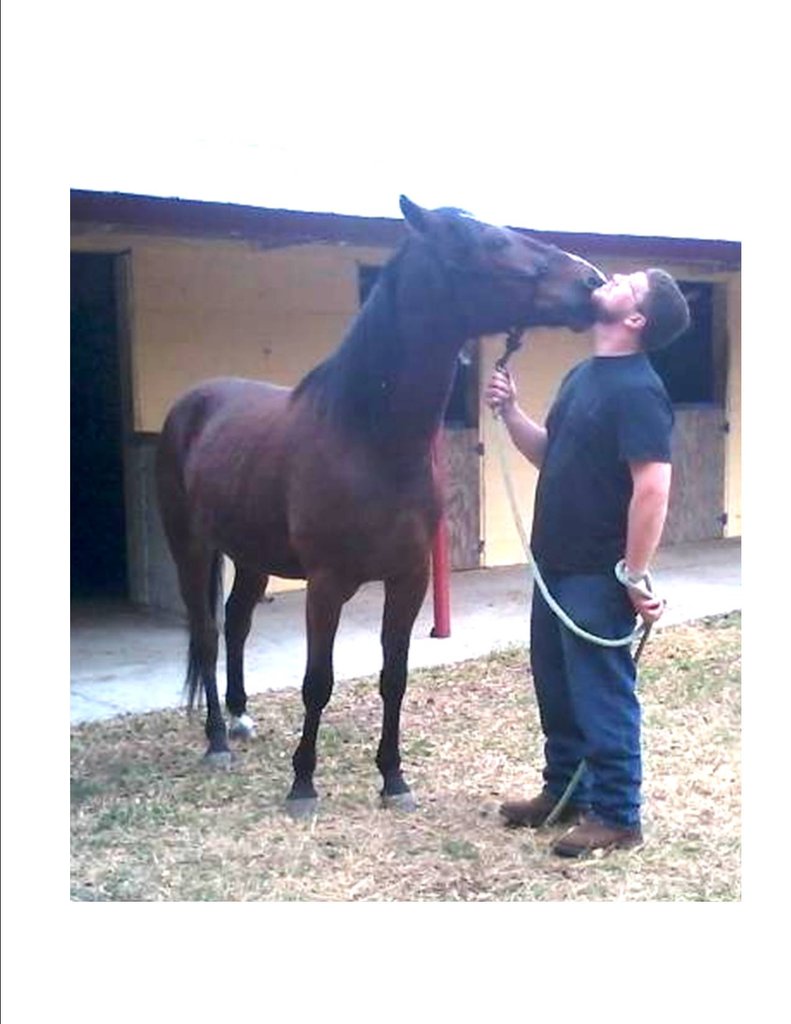 T.R.O.T.T.E.R. (Race horse Rescue & Adoption) - GlobalGiving