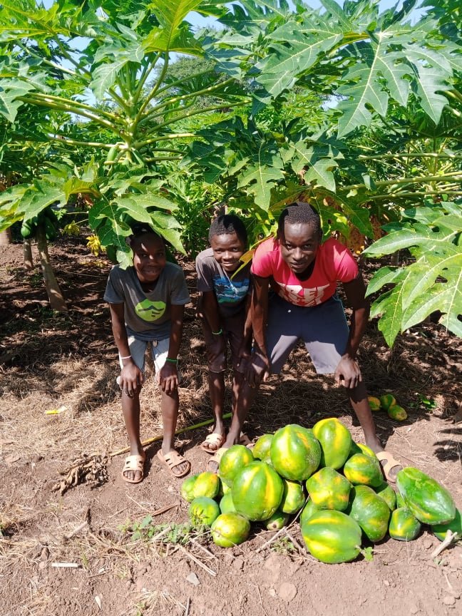 Reports on Provide a home and schooling for African orphans - GlobalGiving