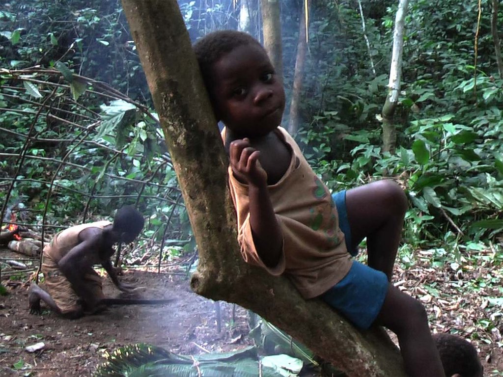 Improving the health of an indigenous Baka village - GlobalGiving