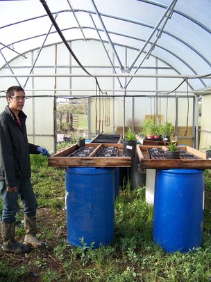 Support Organic Farming for Native Americans - GlobalGiving