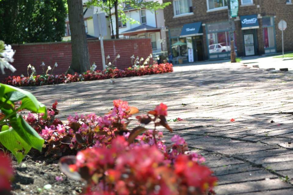 Donate to (B3) Building Better Blocks - Blight Project - GlobalGiving