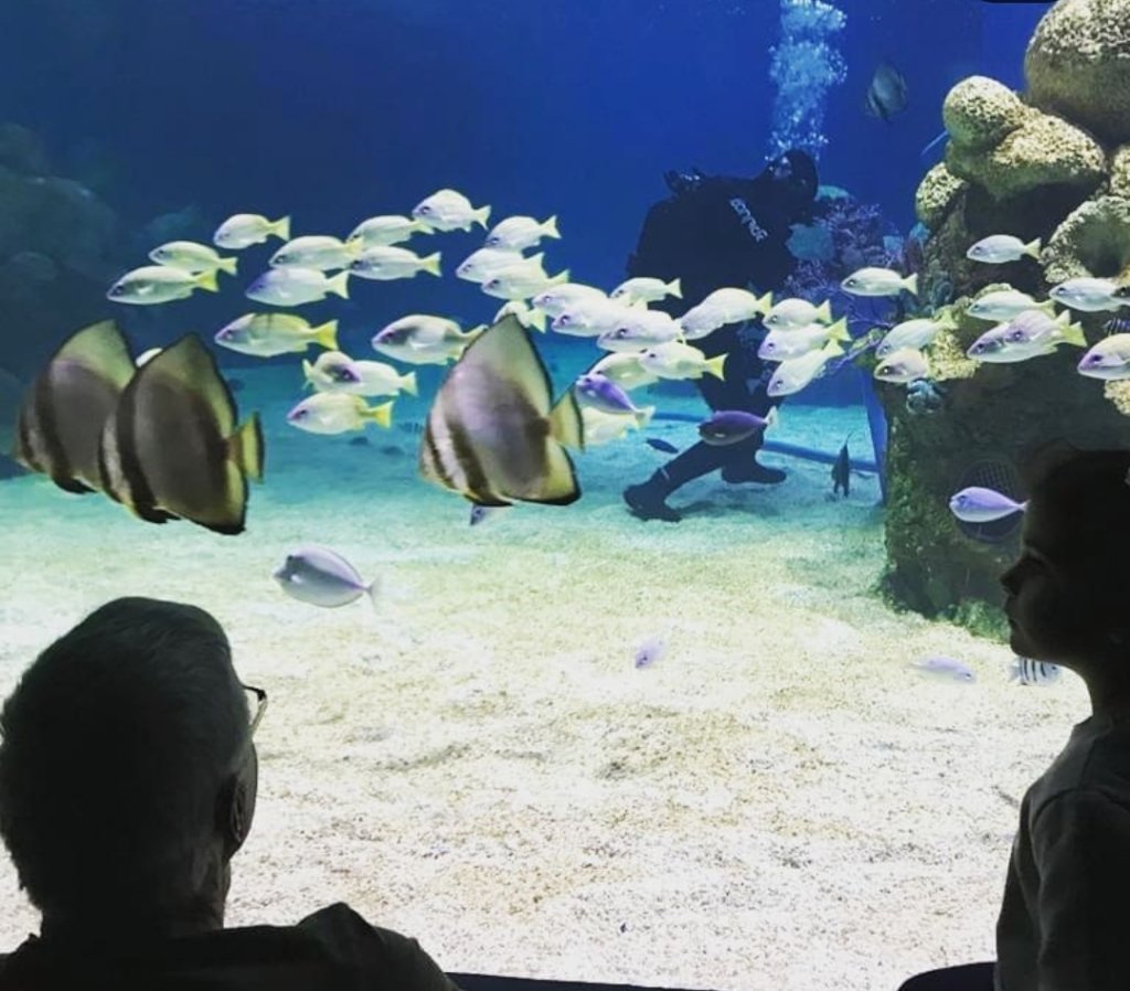 You Can Save Israel's Unique Aquatic Habitats! - GlobalGiving