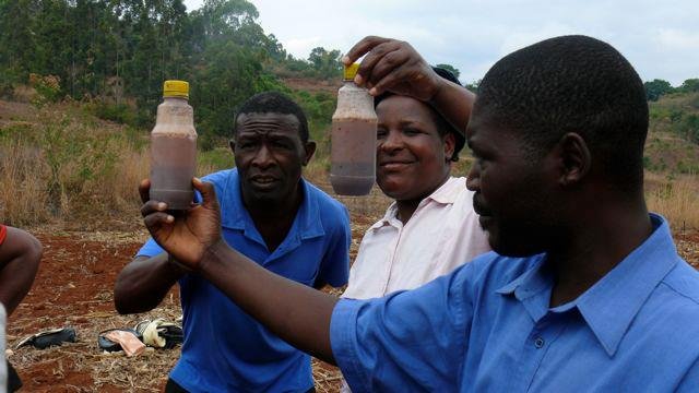 Permaculture Survival Strategy, Chikukwa, Zimbabwe - GlobalGiving