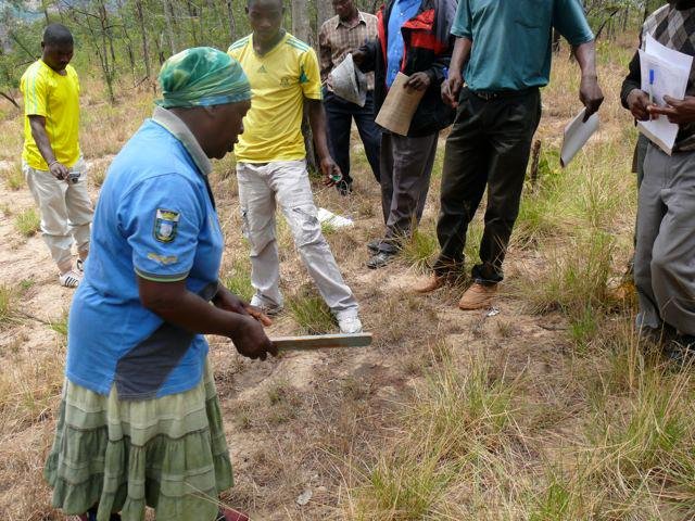 Permaculture Survival Strategy, Chikukwa, Zimbabwe - GlobalGiving