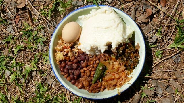 Permaculture Survival Strategy, Chikukwa, Zimbabwe - GlobalGiving
