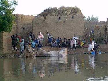 Help Niger Families Produce Clean Drinking Water - GlobalGiving