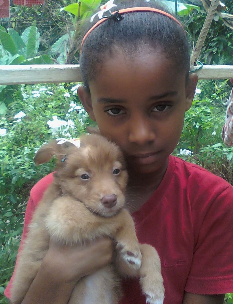 Help Abused & Neglected Animals in the Seychelles - GlobalGiving
