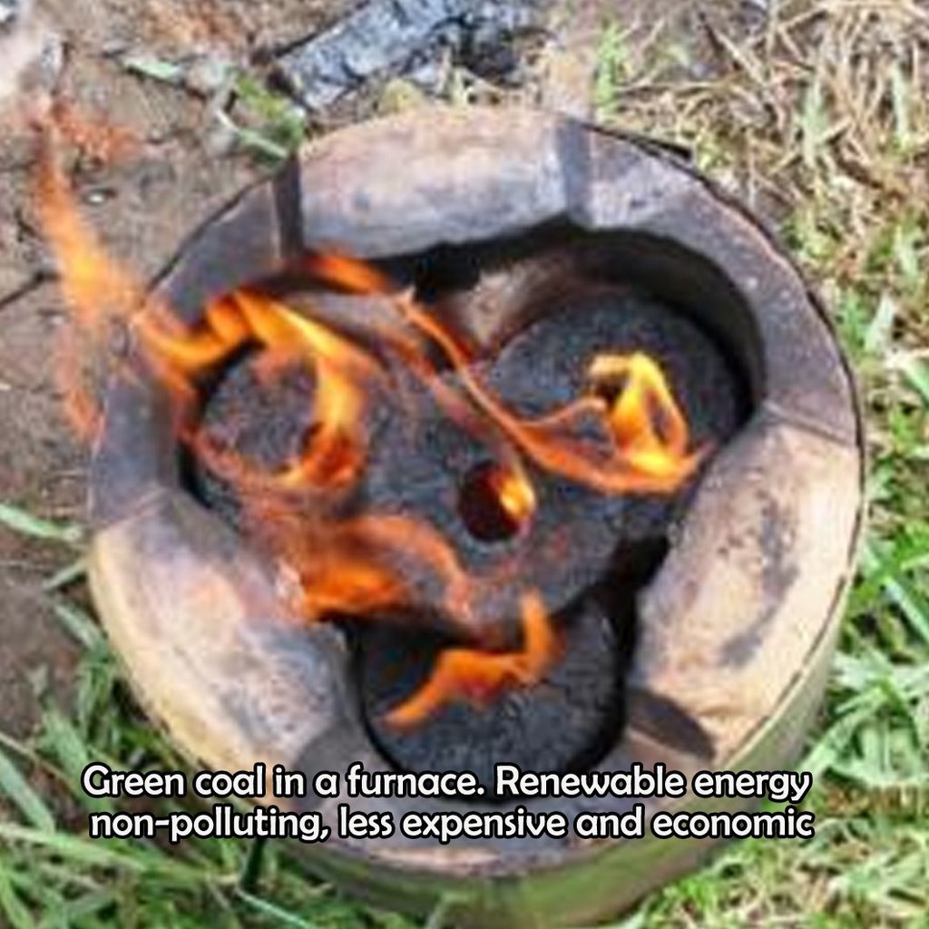 Fund a Sustainable, Green Coal Plant in Benin - GlobalGiving