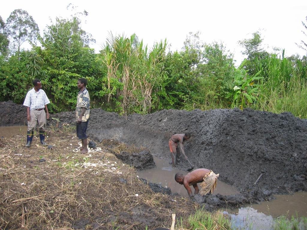 Fish to Feed HIV affected families in Malawi - GlobalGiving