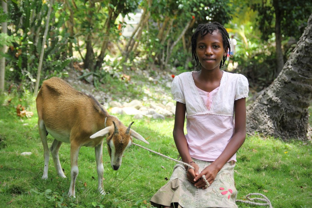 Give a Girl a Goat, Keep Her in School - GlobalGiving
