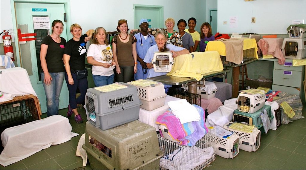 Reports on Operation Potcake - Nassau Bahamas - GlobalGiving