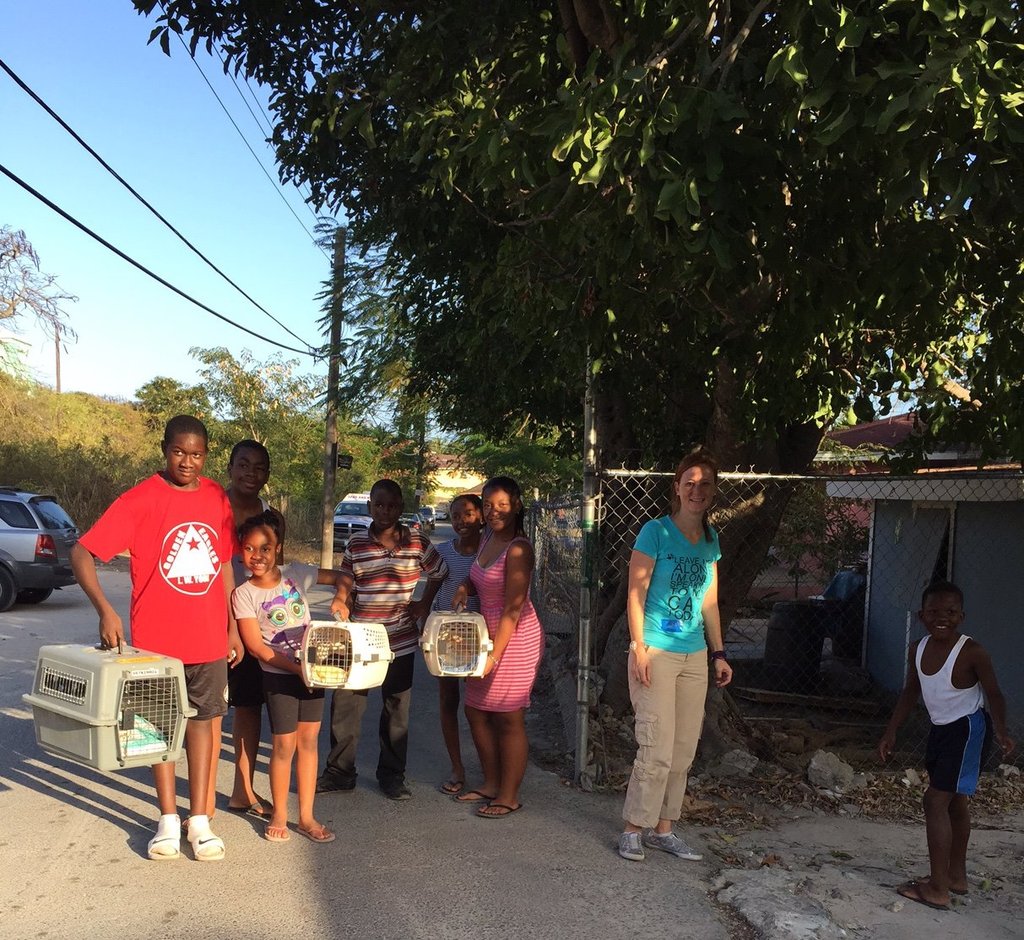 Reports on Operation Potcake - Nassau Bahamas - GlobalGiving