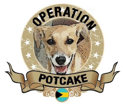 Operation Potcake - Nassau Bahamas - GlobalGiving
