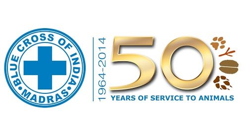 Blue Cross of India 50th Year Rescue Fund - GlobalGiving