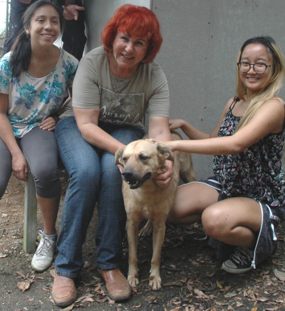 Reports on Spay/Neuter Street Dogs in San Ramon, Costa Rica - GlobalGiving