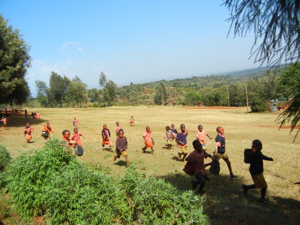 Empowering Rural Kenyans through Reforestation - GlobalGiving