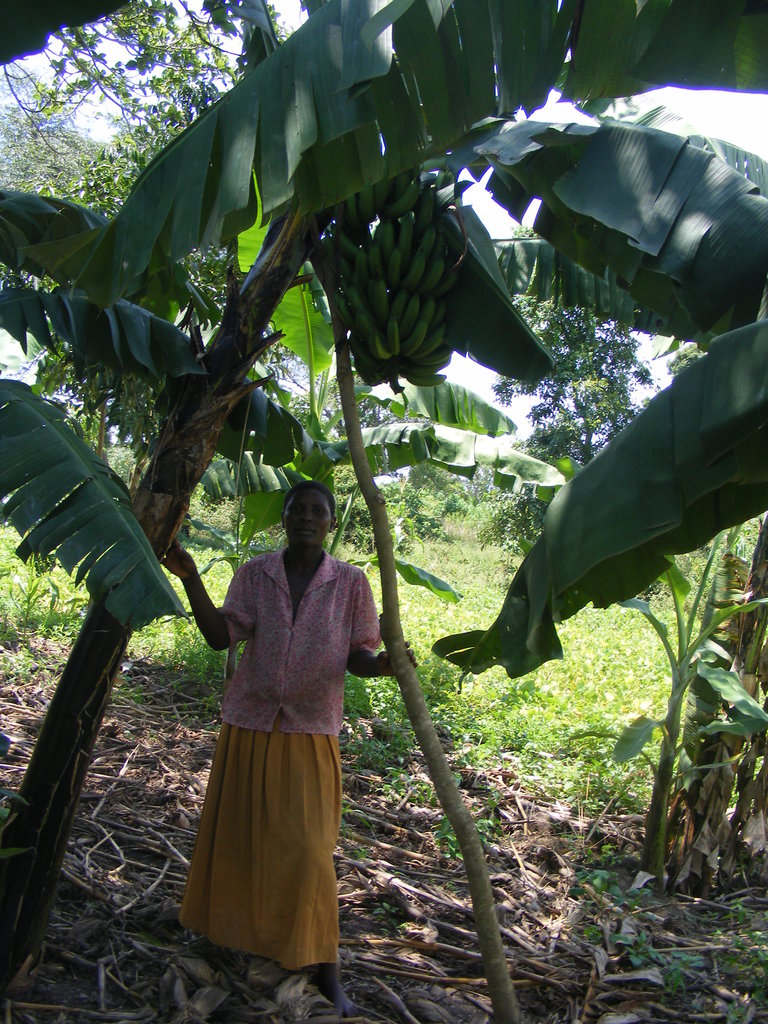 Conserve Budaka Environment for 70,000 in Uganda - GlobalGiving
