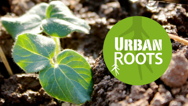 Urban Roots Core Youth Program - GlobalGiving