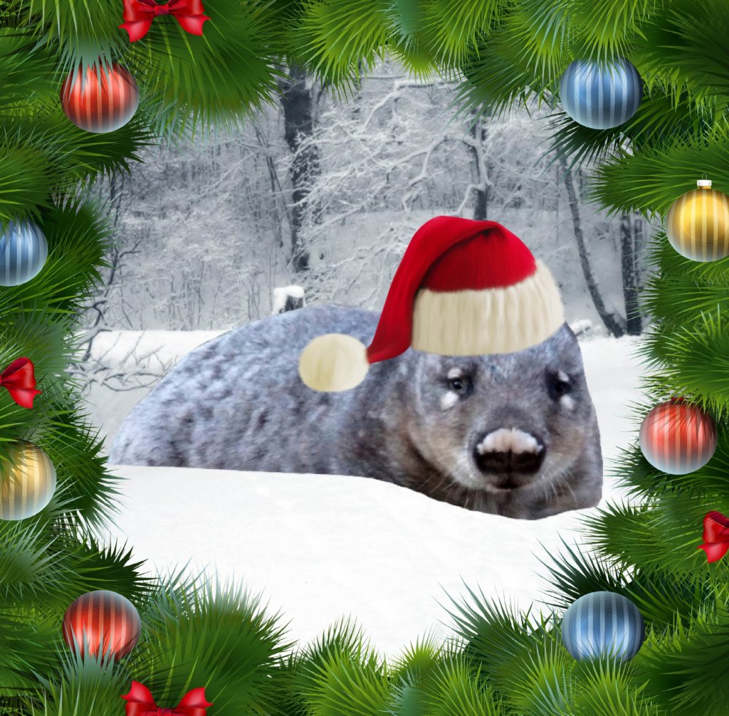 Reports on Wombat Appeal - GlobalGiving