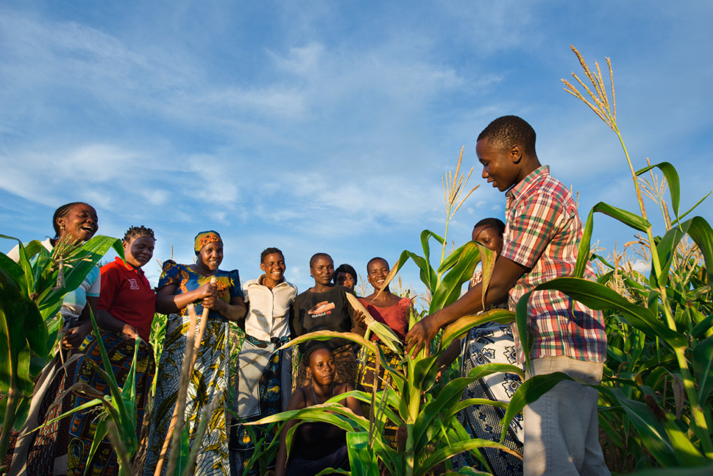 Reports on Catalyzing agricultural innovation in Tanzania - GlobalGiving