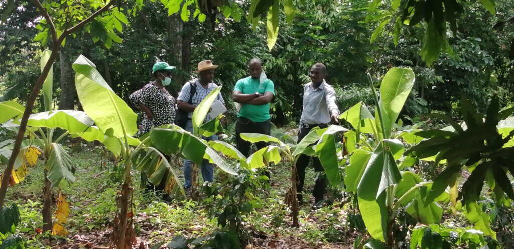 Reports on Generating Organic Compost for Farming in Haiti - GlobalGiving
