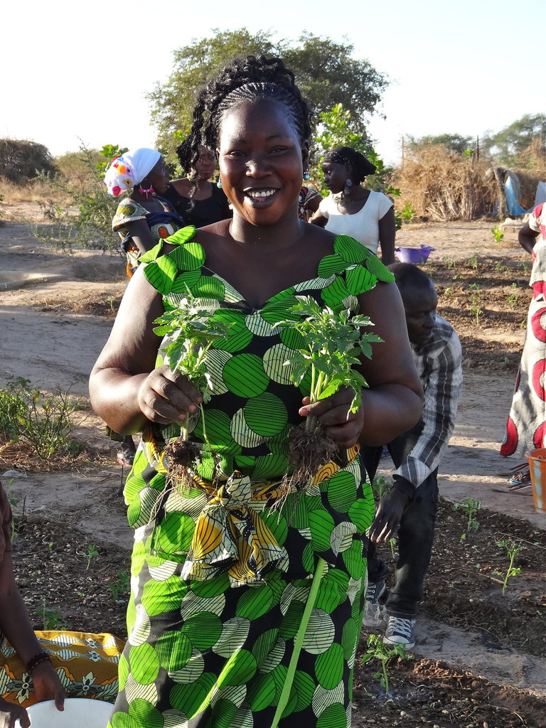 Economic Self-sufficiency for 280 Senegalese Women - GlobalGiving Economic Self-sufficiency for 280 Senegalese Women - GlobalGiving