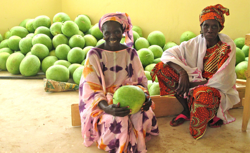 Economic Self-sufficiency for 280 Senegalese Women - GlobalGiving Economic Self-sufficiency for 280 Senegalese Women - GlobalGiving