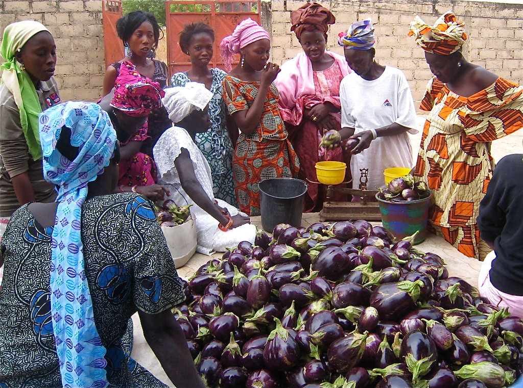 Economic Self-sufficiency for 280 Senegalese Women - GlobalGiving Economic Self-sufficiency for 280 Senegalese Women - GlobalGiving