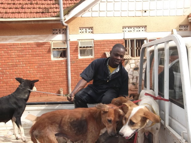 Help Animals in 10 Countries Get Needed Care - GlobalGiving